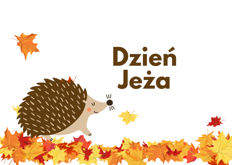 Dzień Jeża - Przedszkole nr 52 w Gdyni